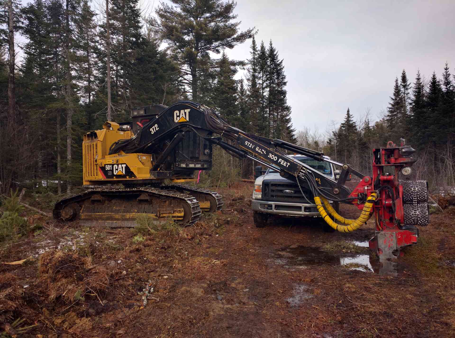 Cut To Length Operations - Madden Sustainable Forestry