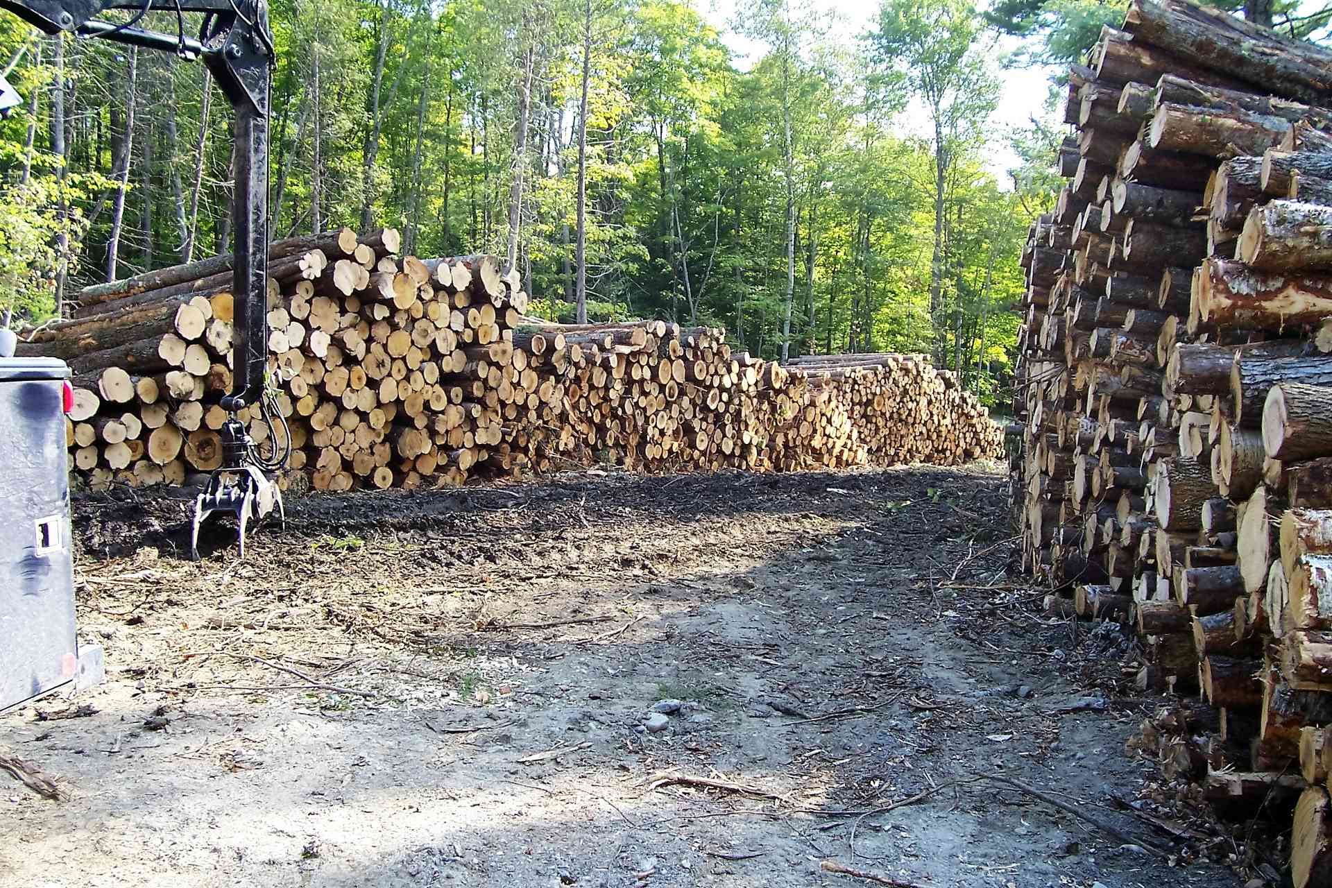 Media - Madden Sustainable Forestry