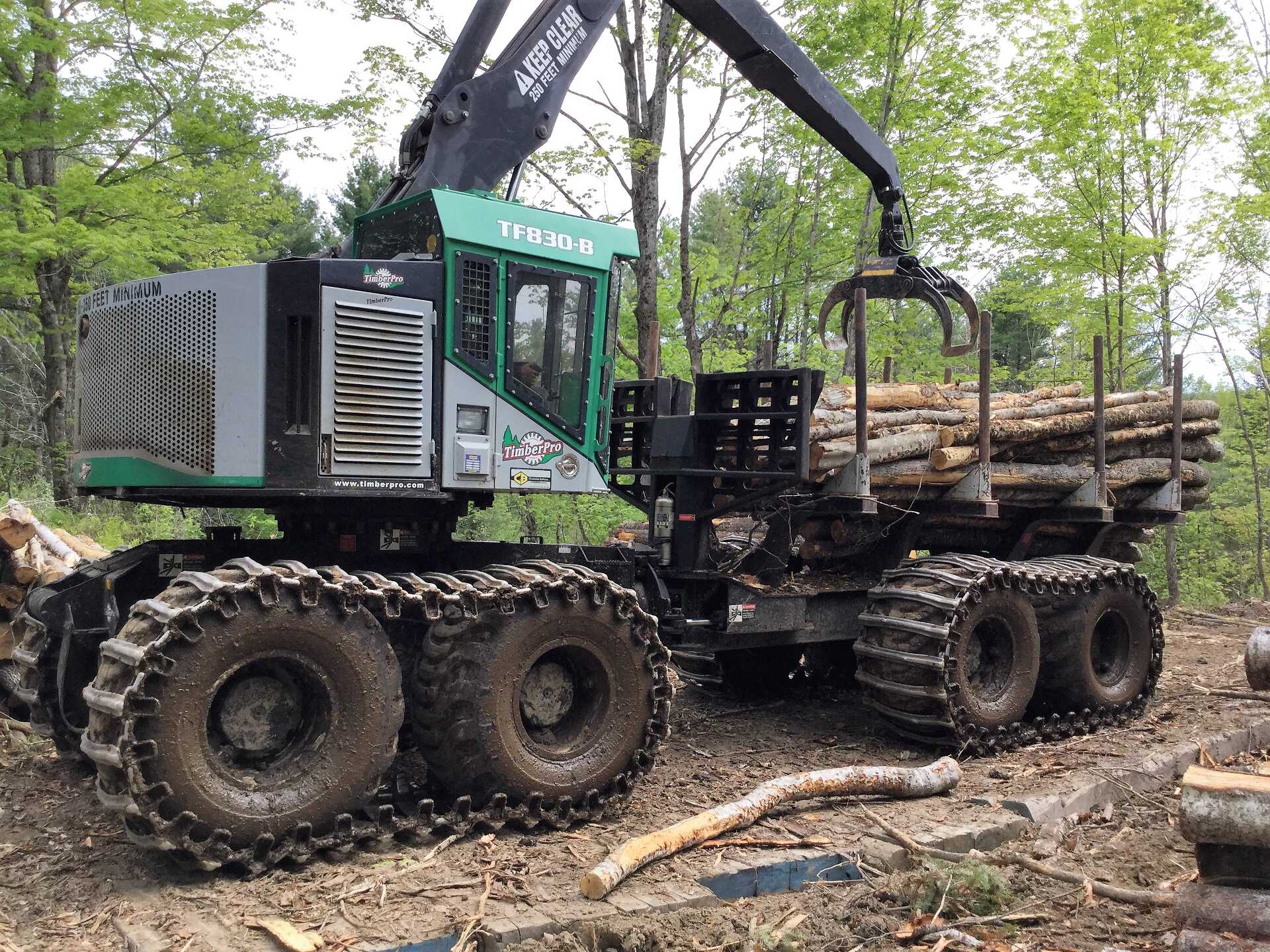 Cut To Length Operations - Madden Sustainable Forestry